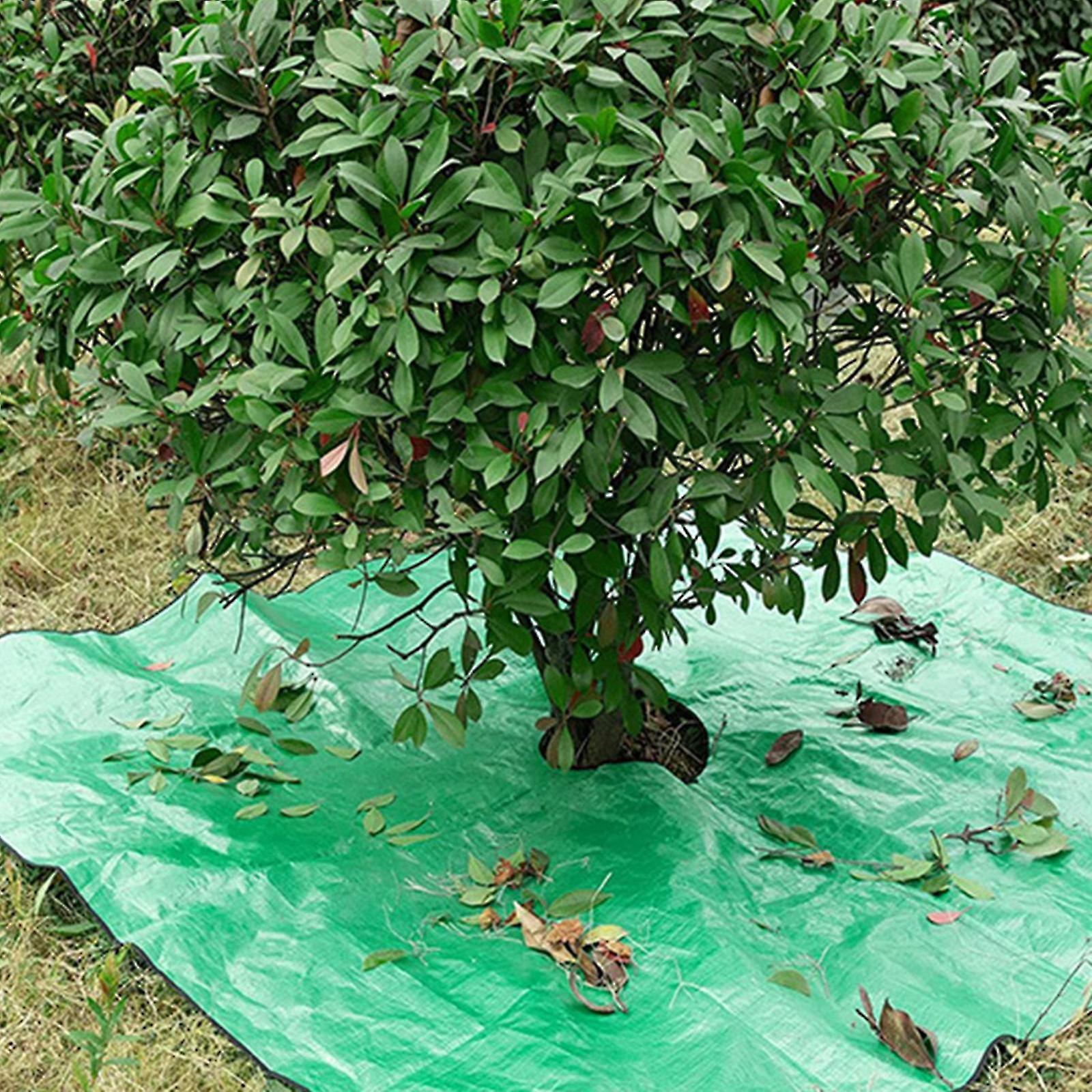 Landscape Tarp For Trimming With 30 Cm Hole -garden Tree Pruning ...