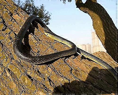47 Inches Rubber Lifelike Snakes Scary Gag Gift Incredible Creatures ...
