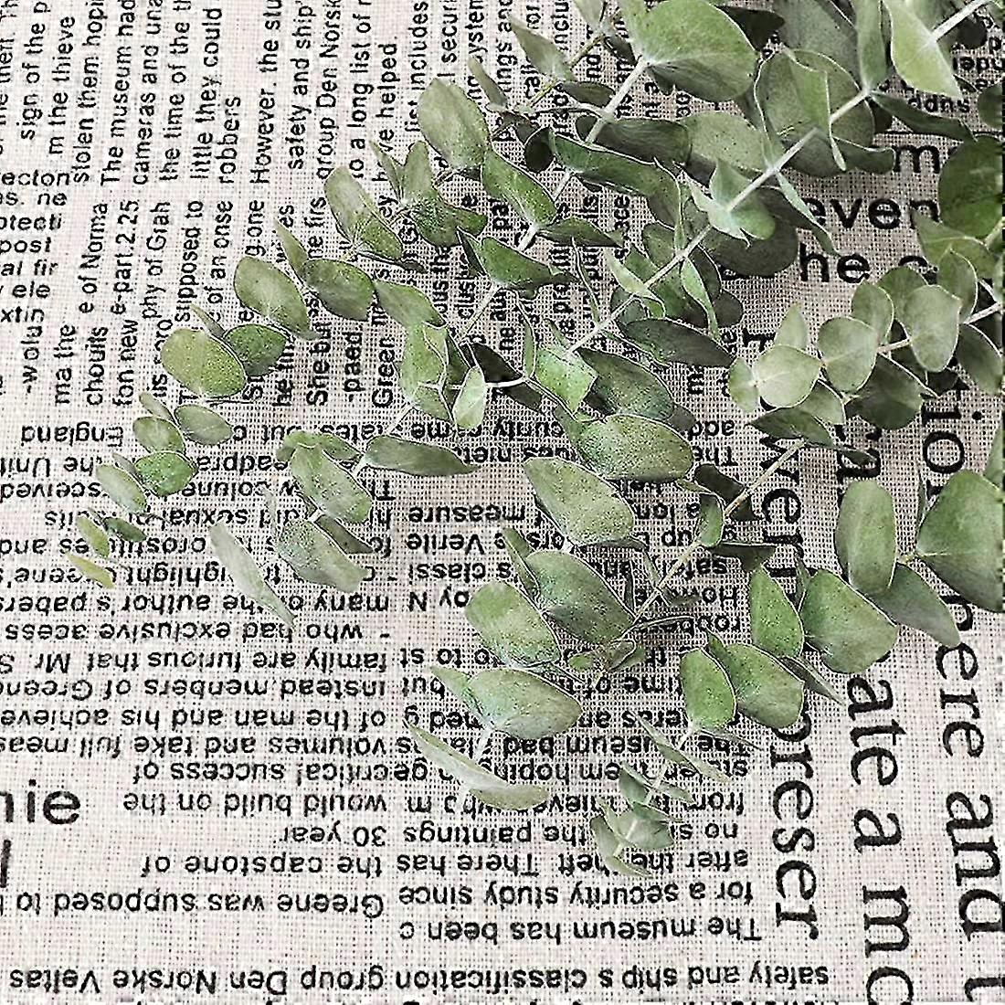 12Pcs Dried Eucalyptus Branches Greenery Stems,17 Inch 100% Live Eucalyptus Leaves Plant ...