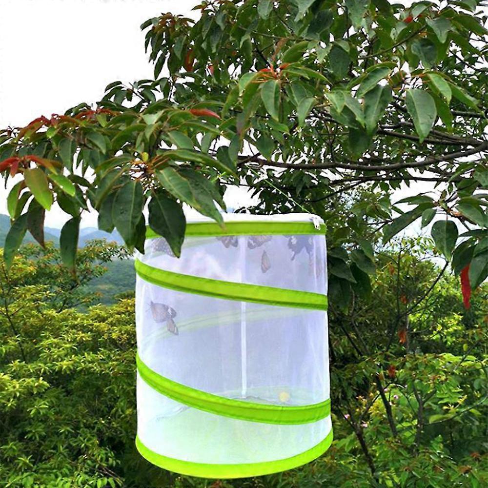 Portable Foldable Insect and Butterfly Habitat Cage Clear Mesh Cages ...