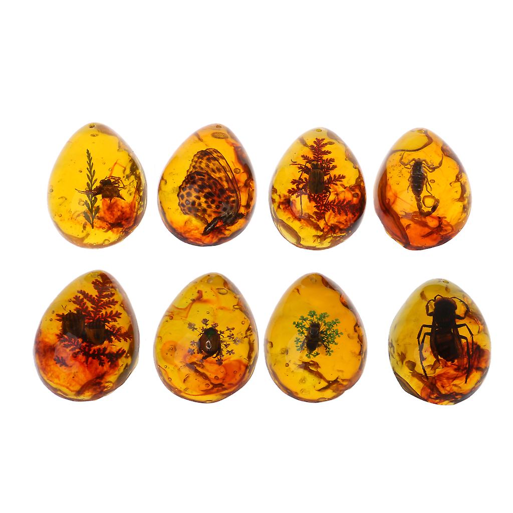 Animals Amber For Butterfly Insects Stone Pendant Necklace Gemstone For ...
