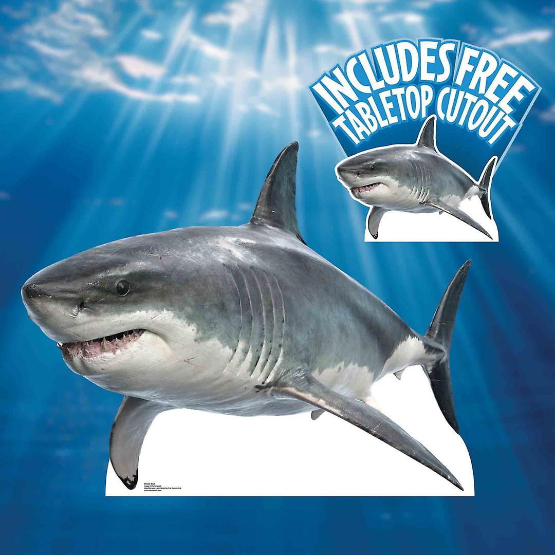 Great White Shark Cardboard Cutout / Standee / Standup | Fruugo US