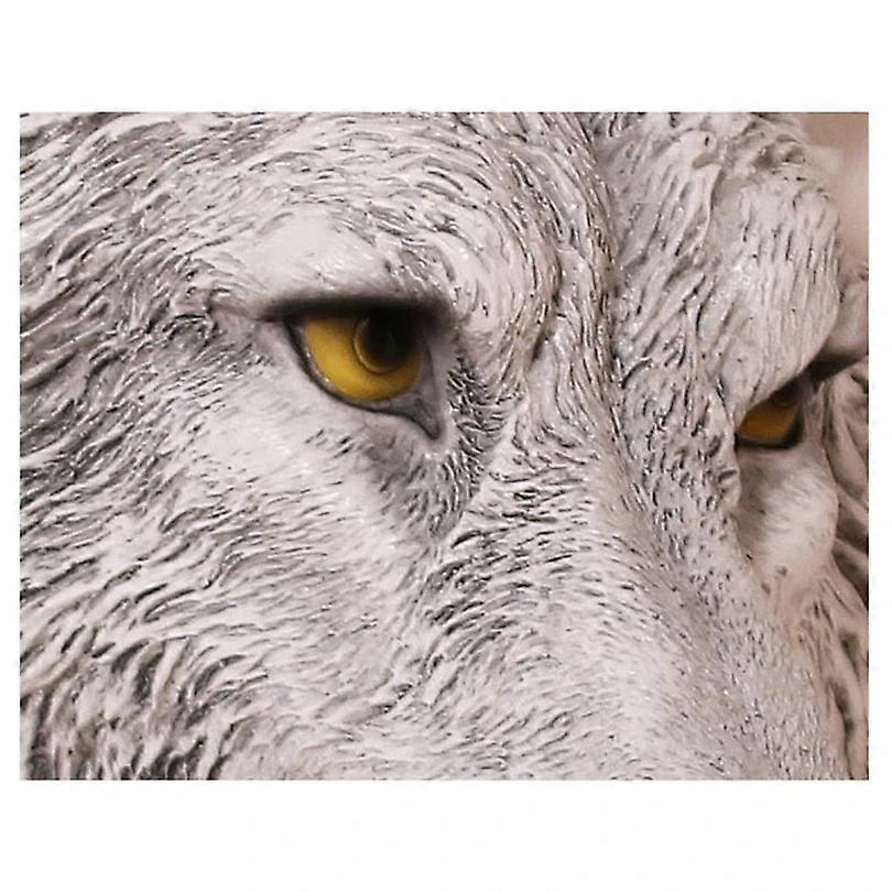 Resin Wolf Wall Lamps Vintage Wall Sconce Light Fixtures for Living ...