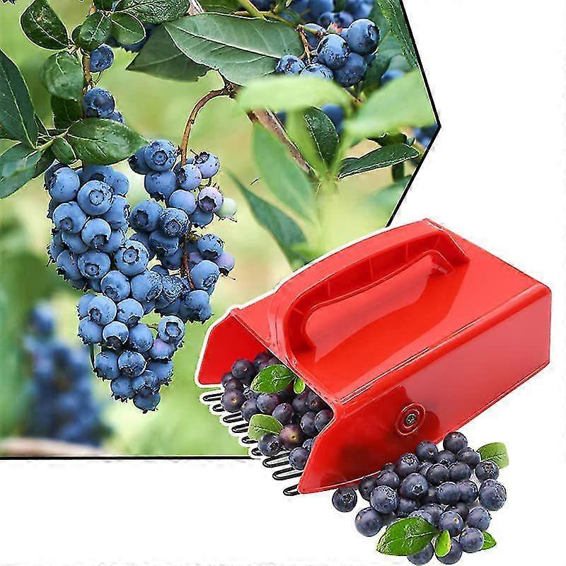 Berry Picker Berry Picker With Handle Blueberry Picker Garden Tools ...