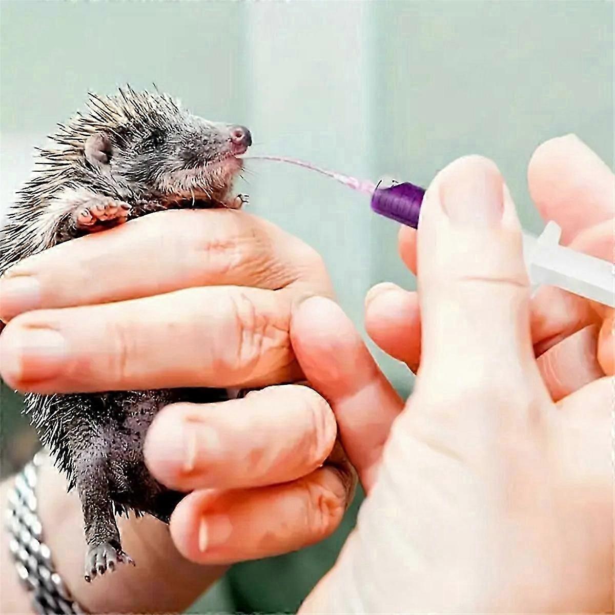 Baby Bird Feeding Syringe Set Pet Syringe with 5 Pcs Curved Gavage ...