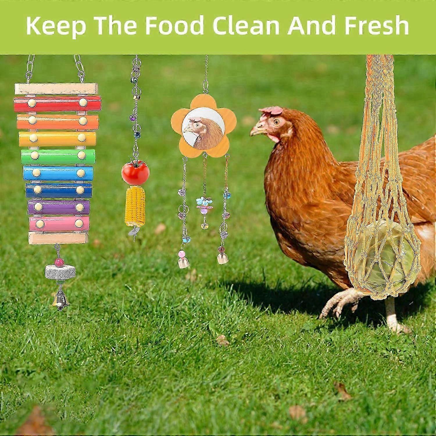 Chicken Toys for Coop 7PCS | Chicken Xylophone | Chicken Swing Set ...