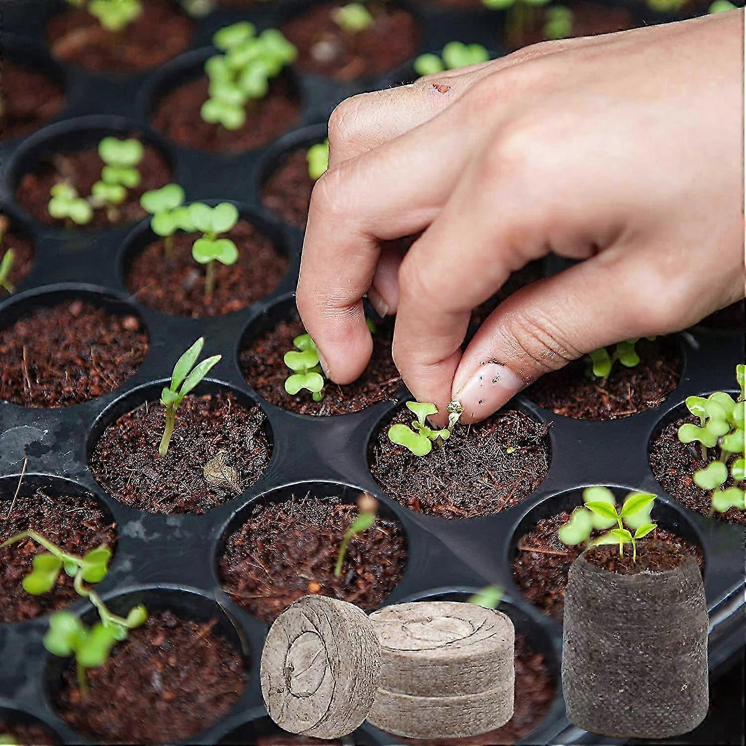 50 Pcs 40mm Peat Pellet Soil Plant Seed Nutrient Block Compressed Peat ...