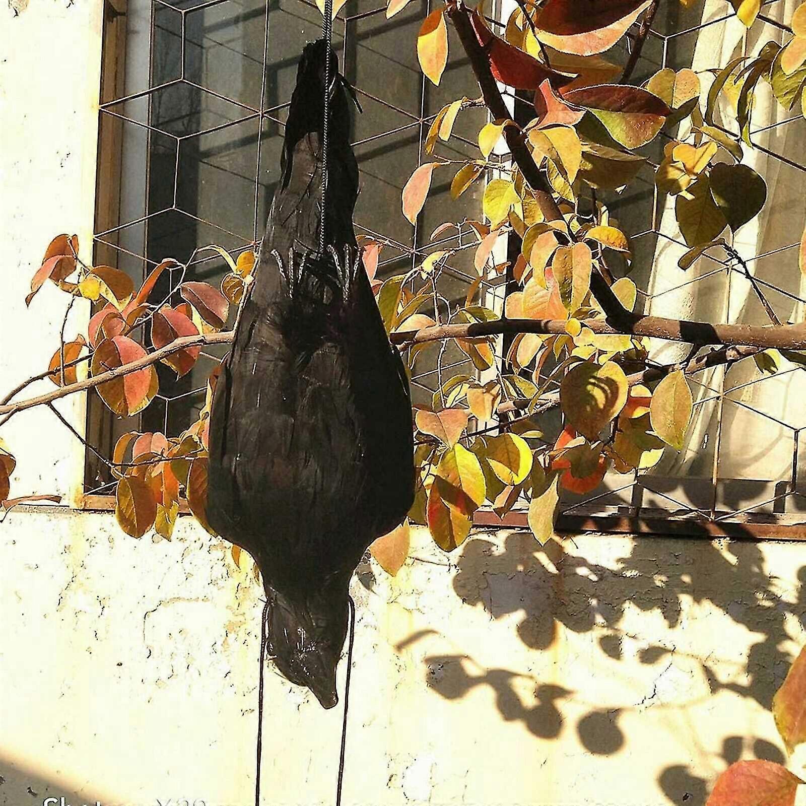 Realistic Hanging Dead Crow Decoy Lifesize Extra Black Feathered Crow ...