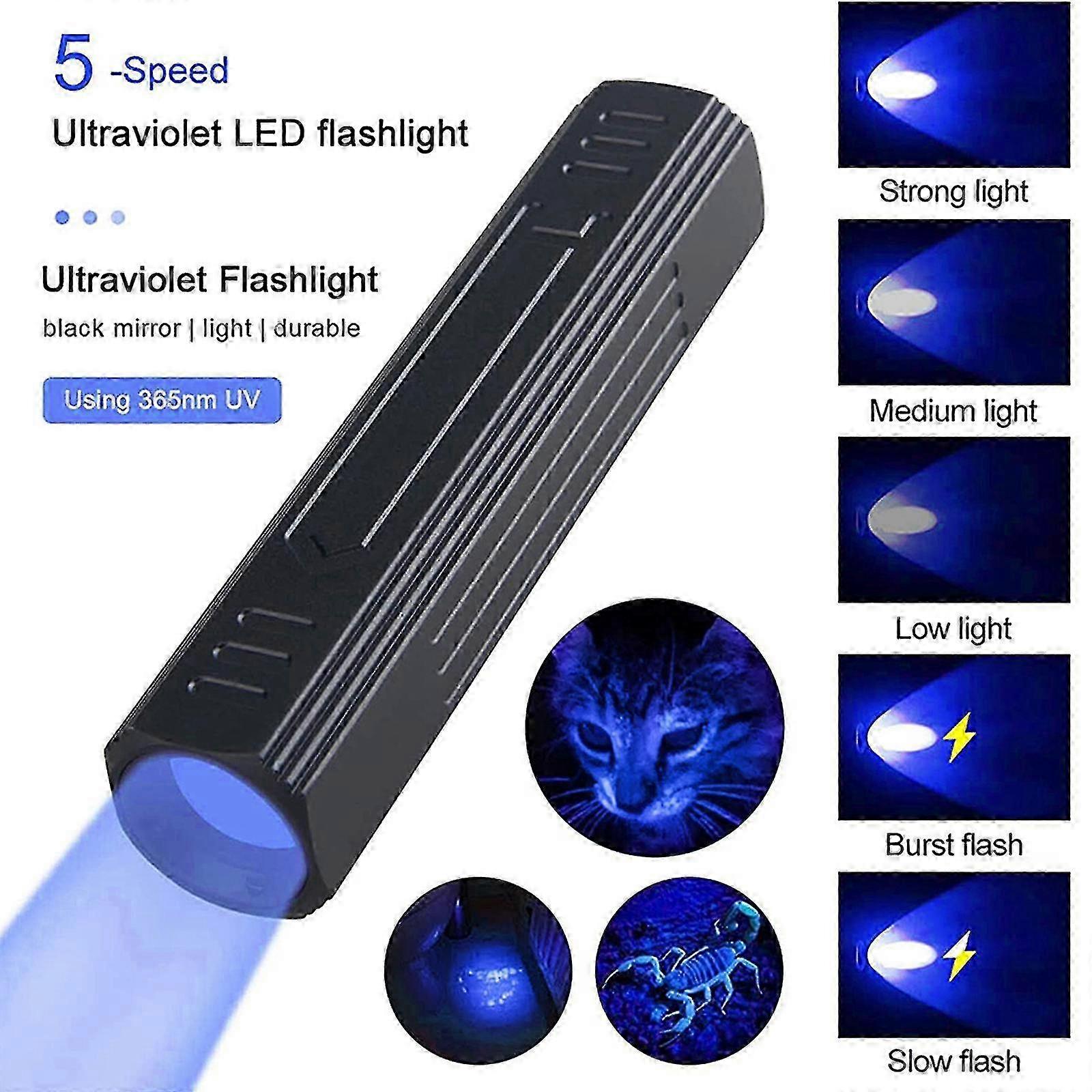 Urine Spot and Bed Bug Detection Device - Gasoline Analyzer for Skin ...