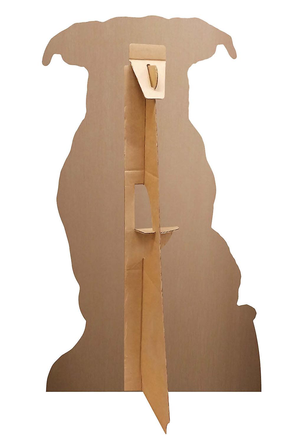 King Charles III Kilt and Jack Russell Dog Cardboard Cutouts Set of 2 ...