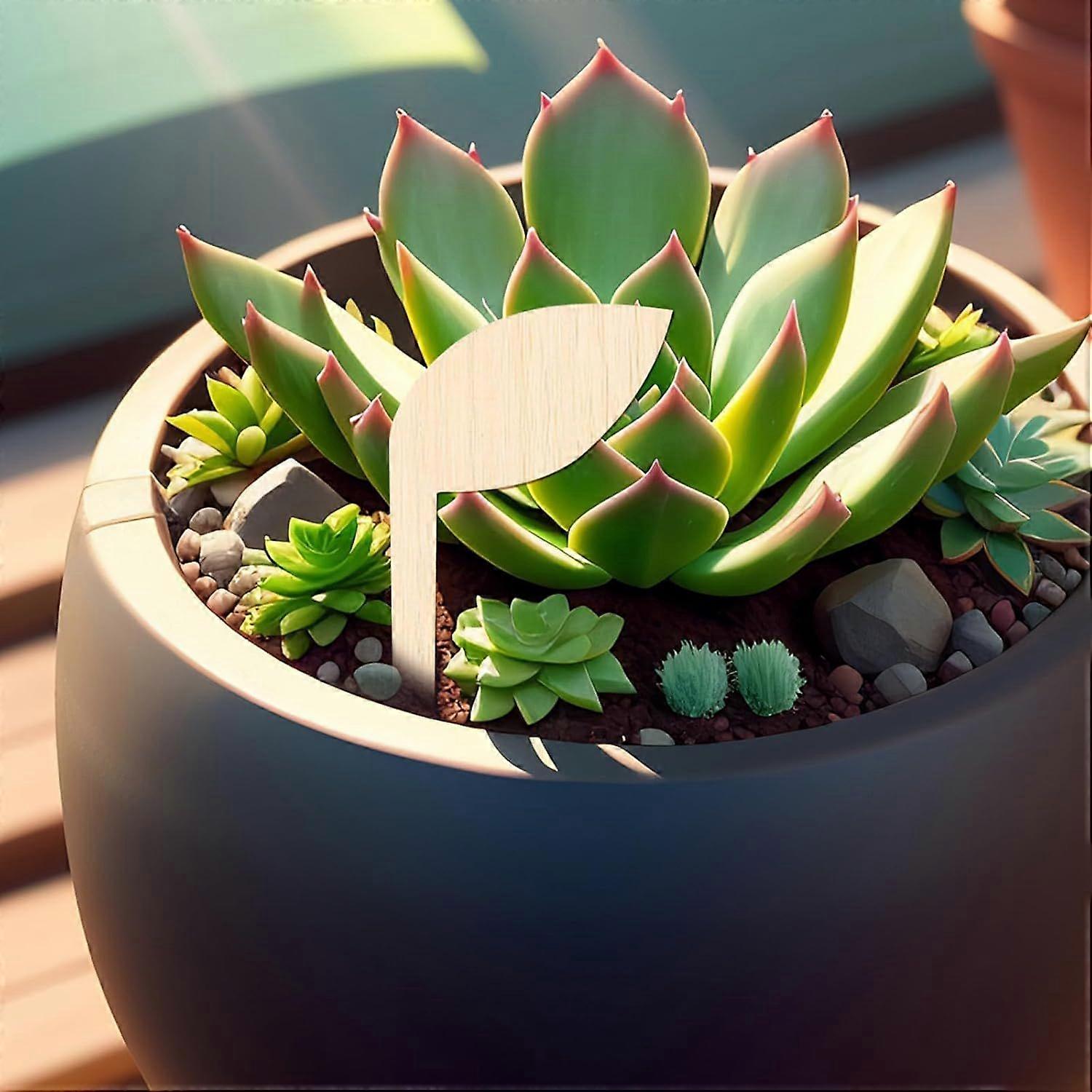 20 Pieces Plant Labels Bamboo Garden Label Plant Marking Label Flower ...