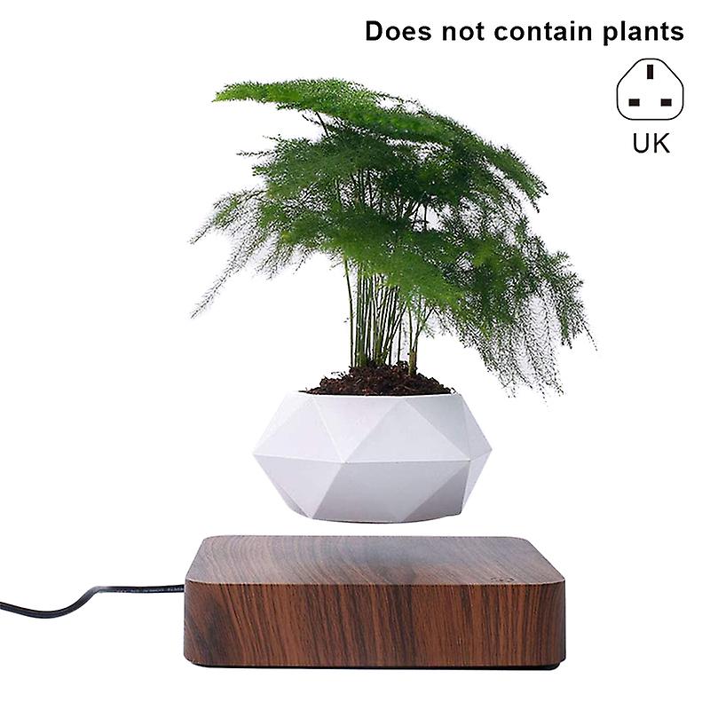 Levitating Air Bonsai Pot Rotation Flower Pot Planters Magnetic ...