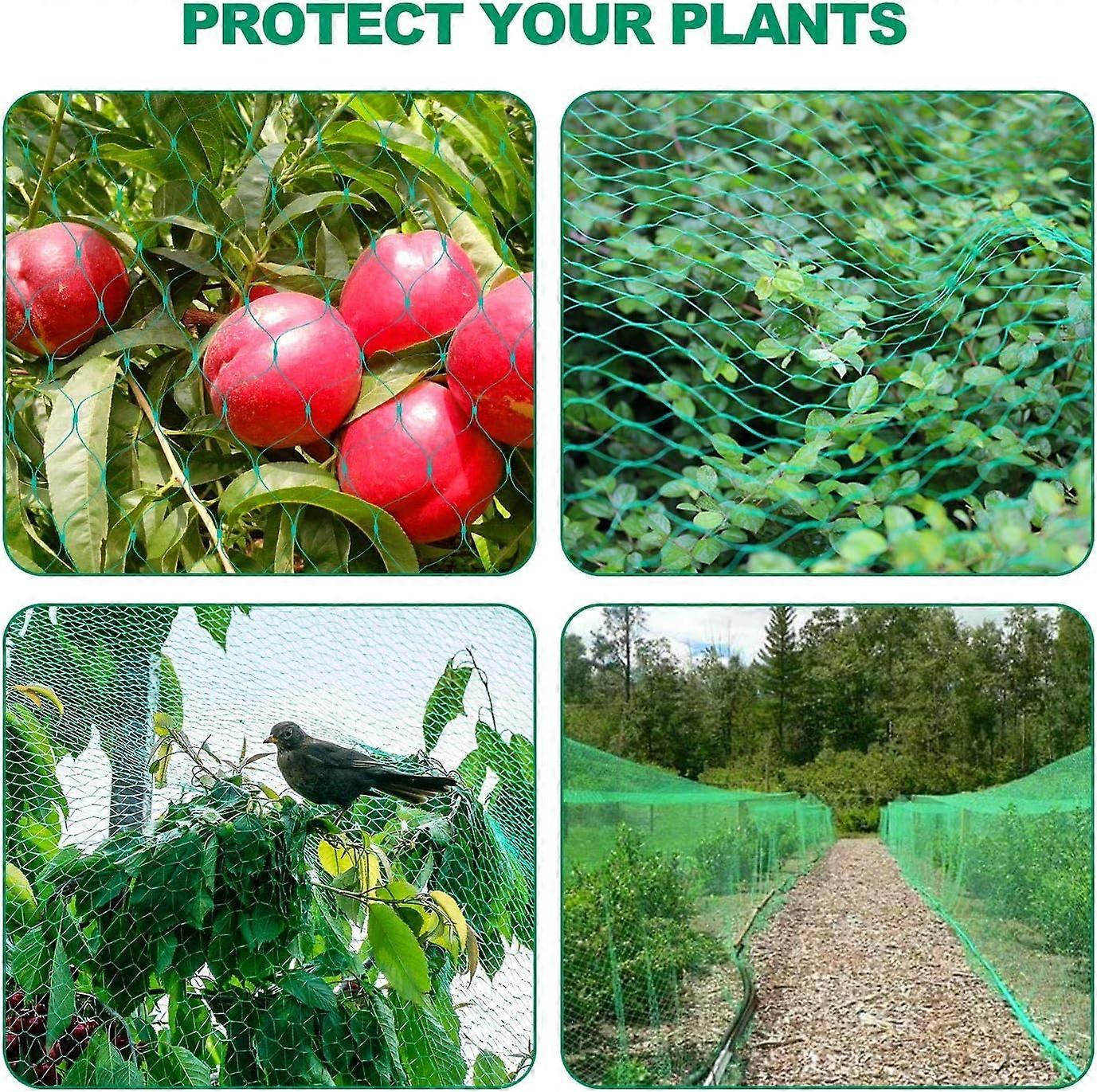 Green anti-bird netting, protective netting against garden birds, netting for garden plants ...