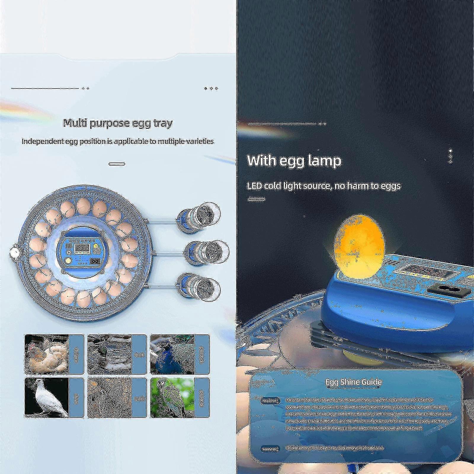 Eggs Incubator For Hatching Eggs With Double Egg Trays, Automatic Egg Turning And Water Adding ...