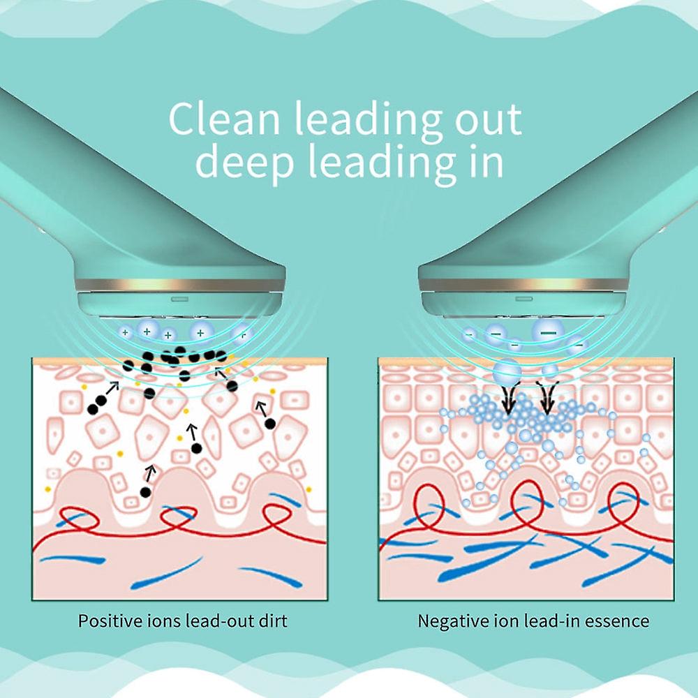 Sonic Facial Skin Cleansing Brush Ultrasonic Face Cleaner Ems Micro ...