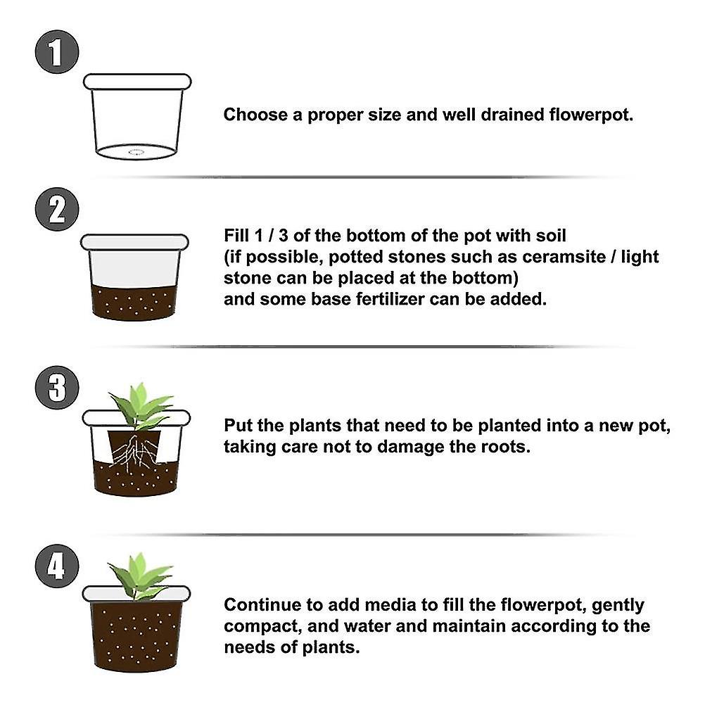 Quick Rooting Powder Fast Plant Flower Rooting Powder Quick Growth ...