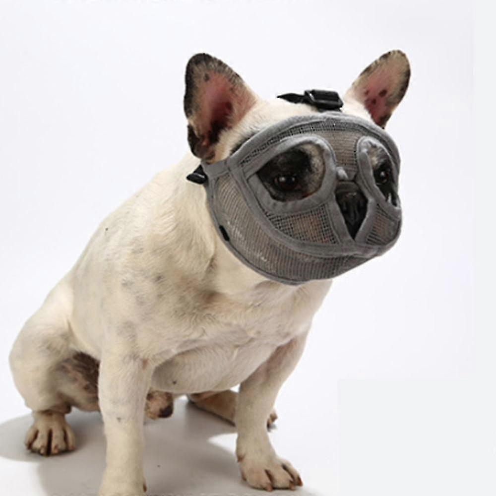 Short Snout Dog Muzzle Bulldog | Fruugo UK