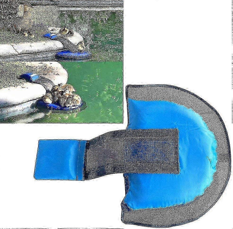 Animal Saving Escape Ramp For Pools & Spas | For All Small Animals ...