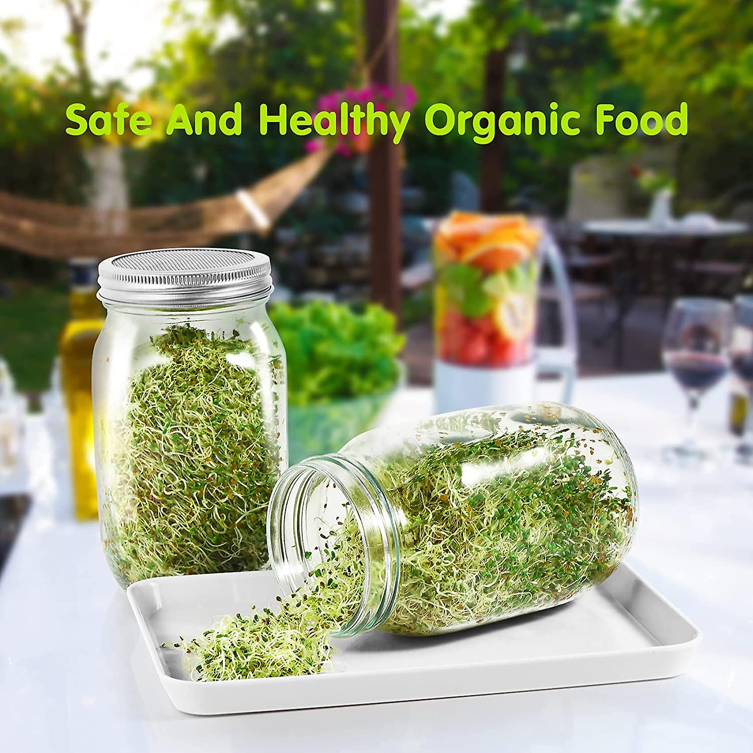 Sprouting Jar Kit-2 Large Wide Mouth Mason Jars With Stainless Steel ...