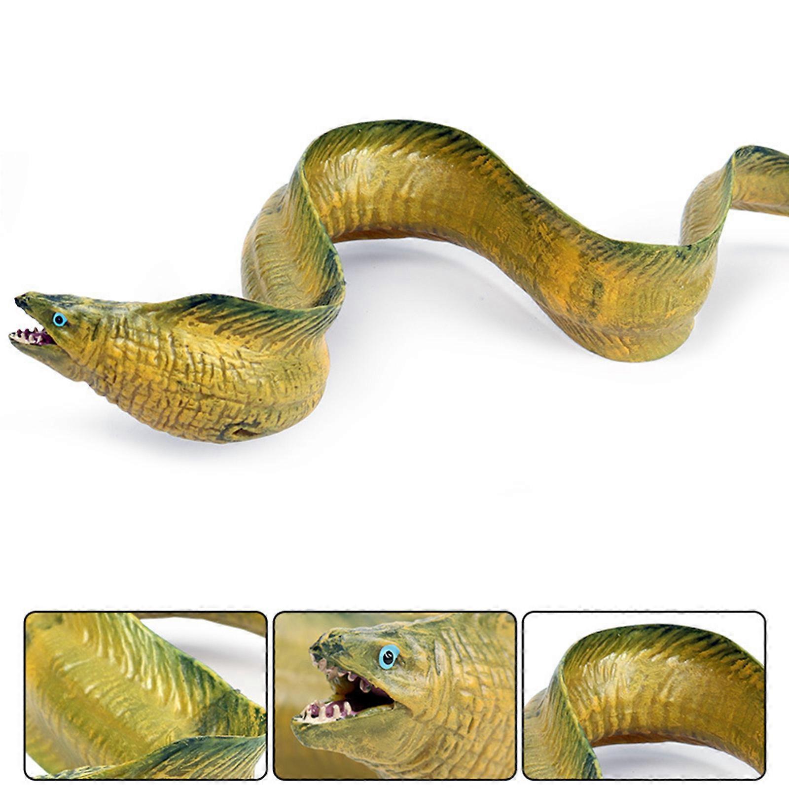 Marine Life Educational Eel Model Figure Toy with Simulation Texture ...