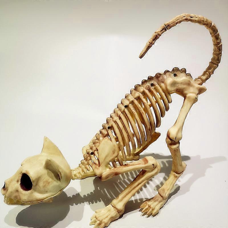 Crouching Cat Skeleton Cat Skull Model Creepy Scary Animal Bones ...