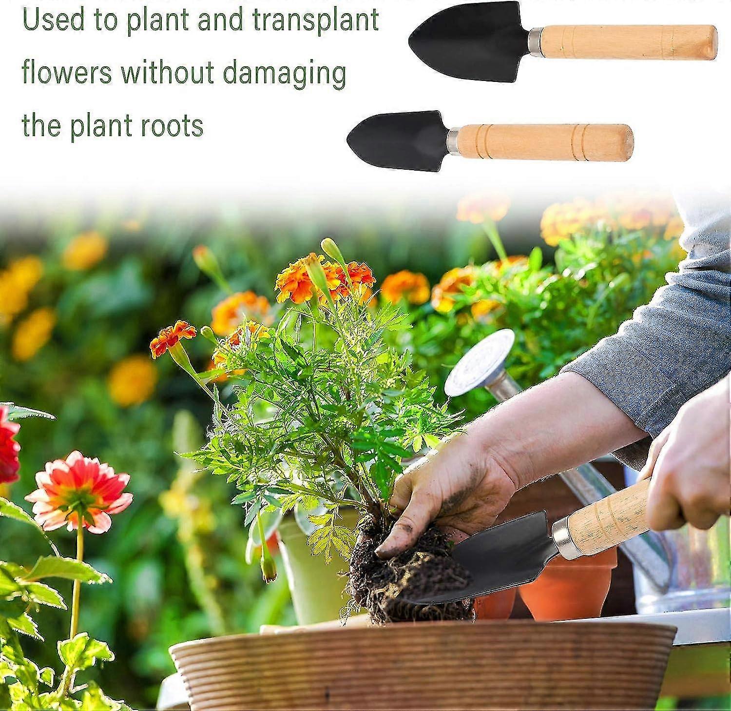 Pcs Mini Plant Garden Tools Wooden Handle Iron Garden Tool Mini Garden ...