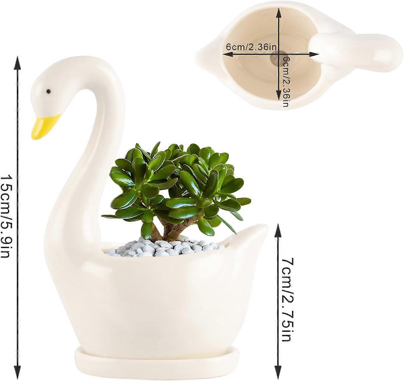Ceramic Swan Flower Pot, Cactus Succulent Flower Pots Plants Container ...