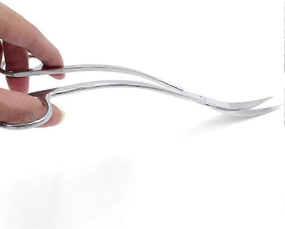 Scissors, Curved - Bladed, Stainless Steel, Ideal for Precision Cutting ...