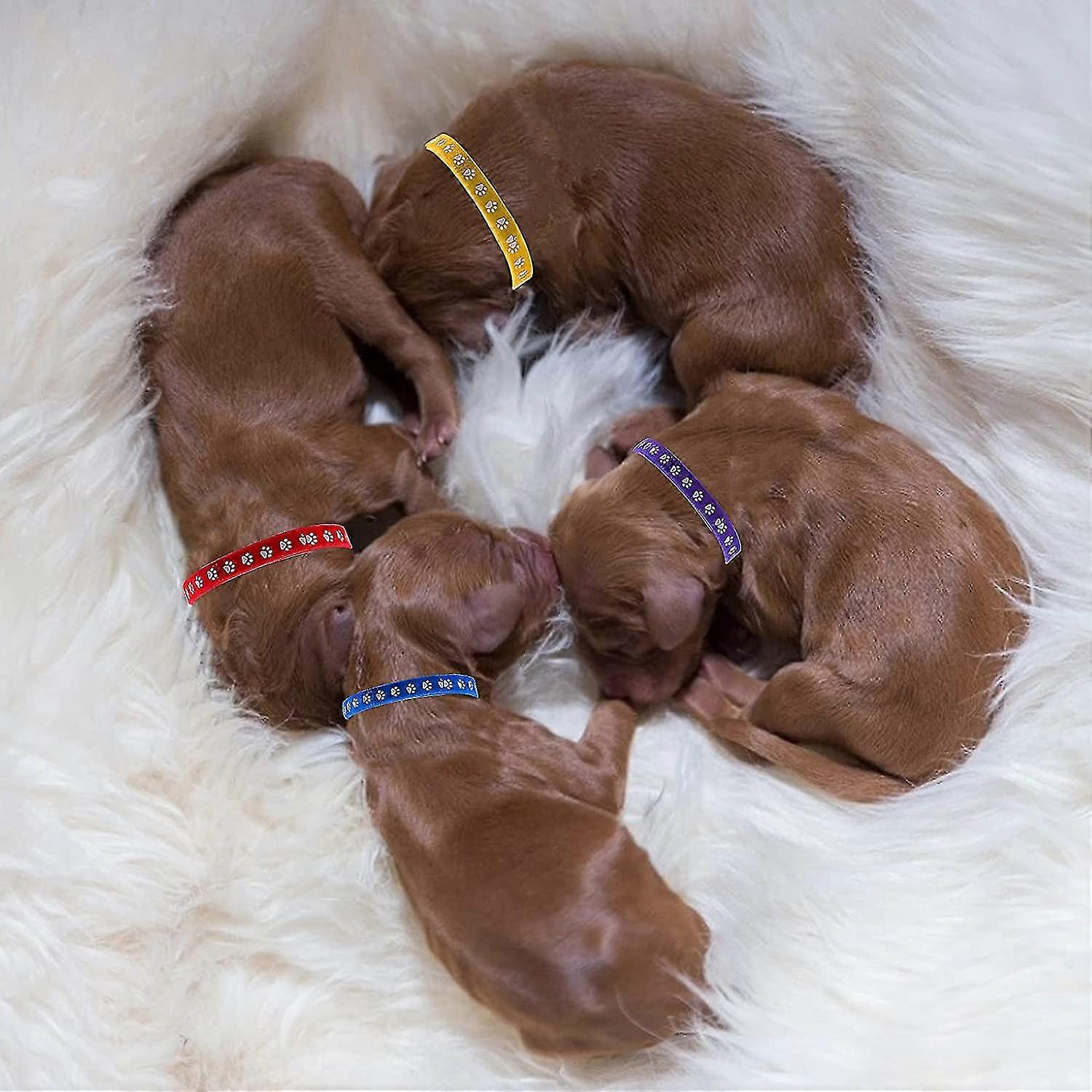 Pack Of 12 Puppy Collars, Throwing Collars For Small Puppies, Adjustable Id Collars For Small ...