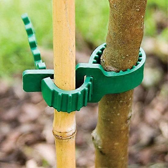 10Pcs Reusable Adjustable Tree Fixing Buckle Plastic Climbing Plants ...