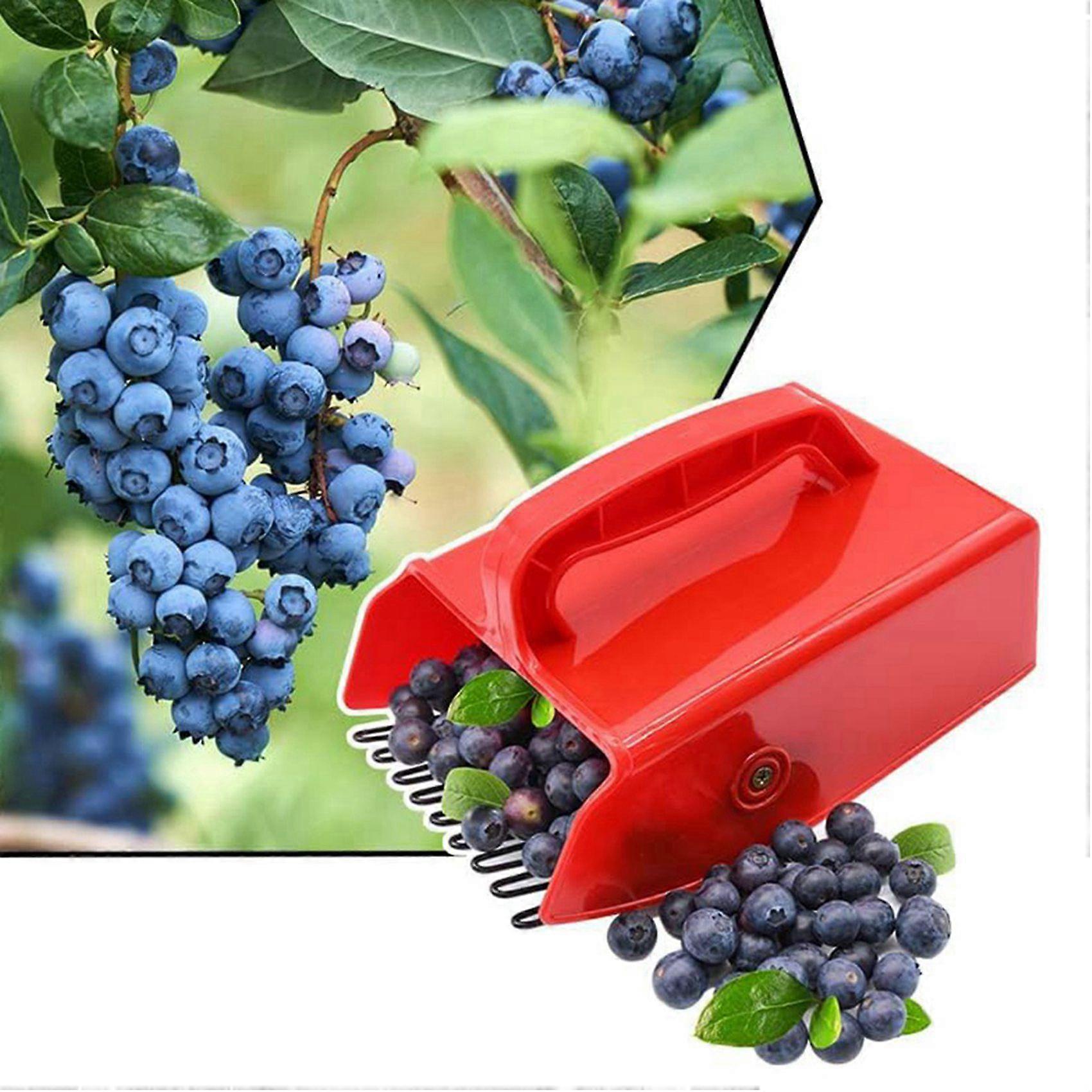 2X Berry Picker, Berry Pickers and Rakes with Metallic Comb and ...