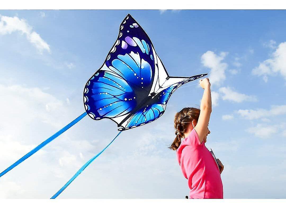Butterfly Kites For Children And Adults With Long Tails 100 * 70cm ...