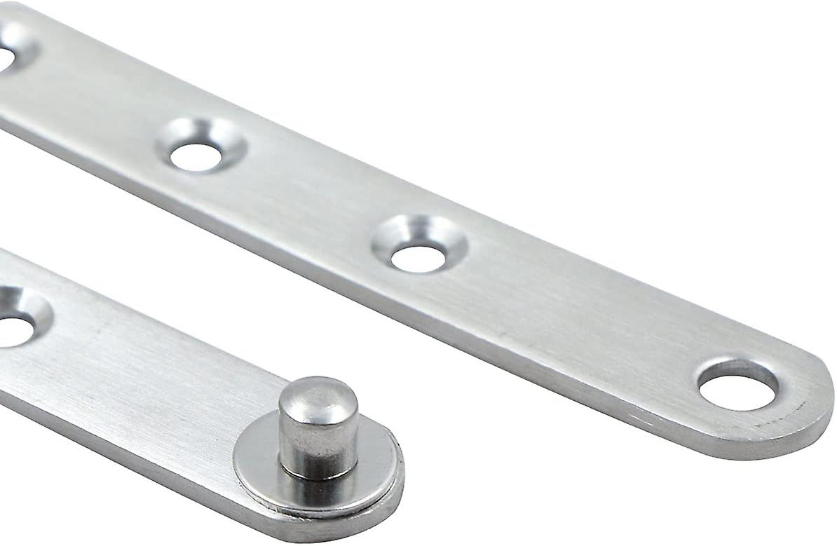 2 Pack Stainless Steel Pivot Door Hinge, 360 Swivel, Down Swing,10*1 ...