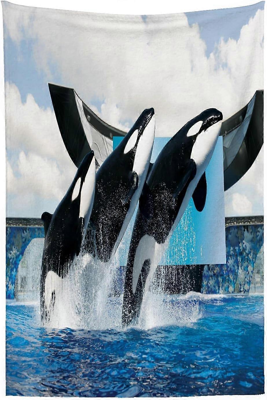 Blanket sofa Whale Sea Animals Orcinus Orca Marine Park Leap Water ...