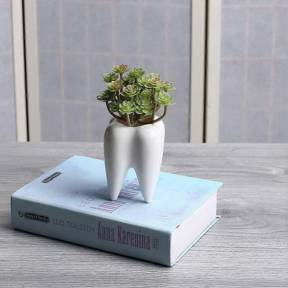 2Pcs Cute Tooth Shaped Ceramic Flower Pot Succulent Planter Pot Bonsai ...
