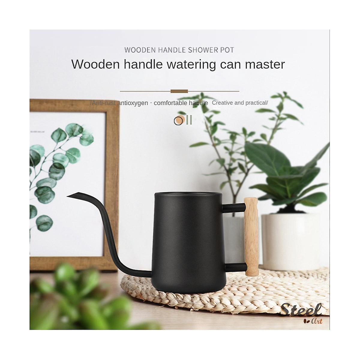 Watering Can Indoor Plants, 35 /1000 Ml Metal Stainless Steel Watering ...