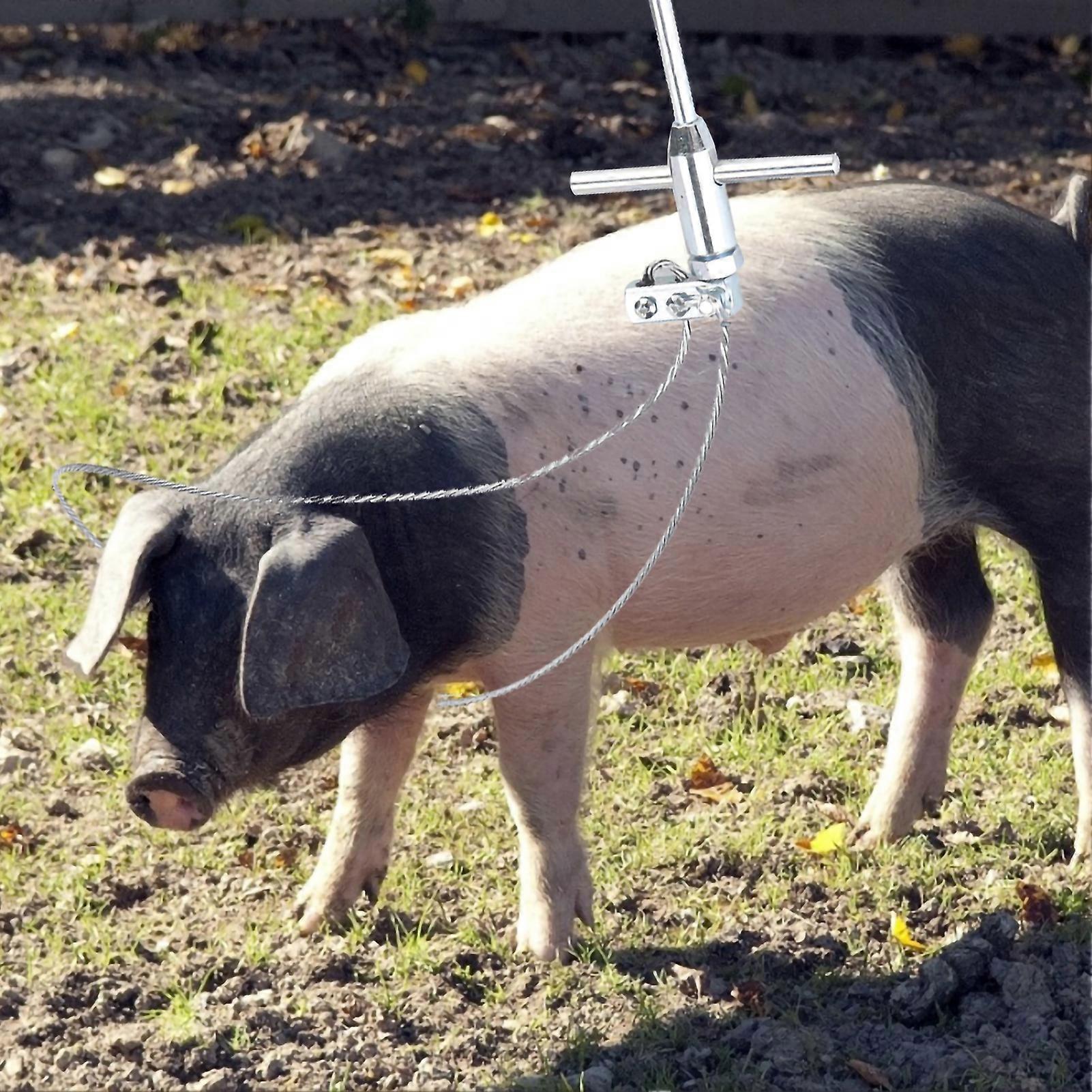 Stainless Steel Trap Pig Squeezer Holder Catcher Pig Livestock Snare ...