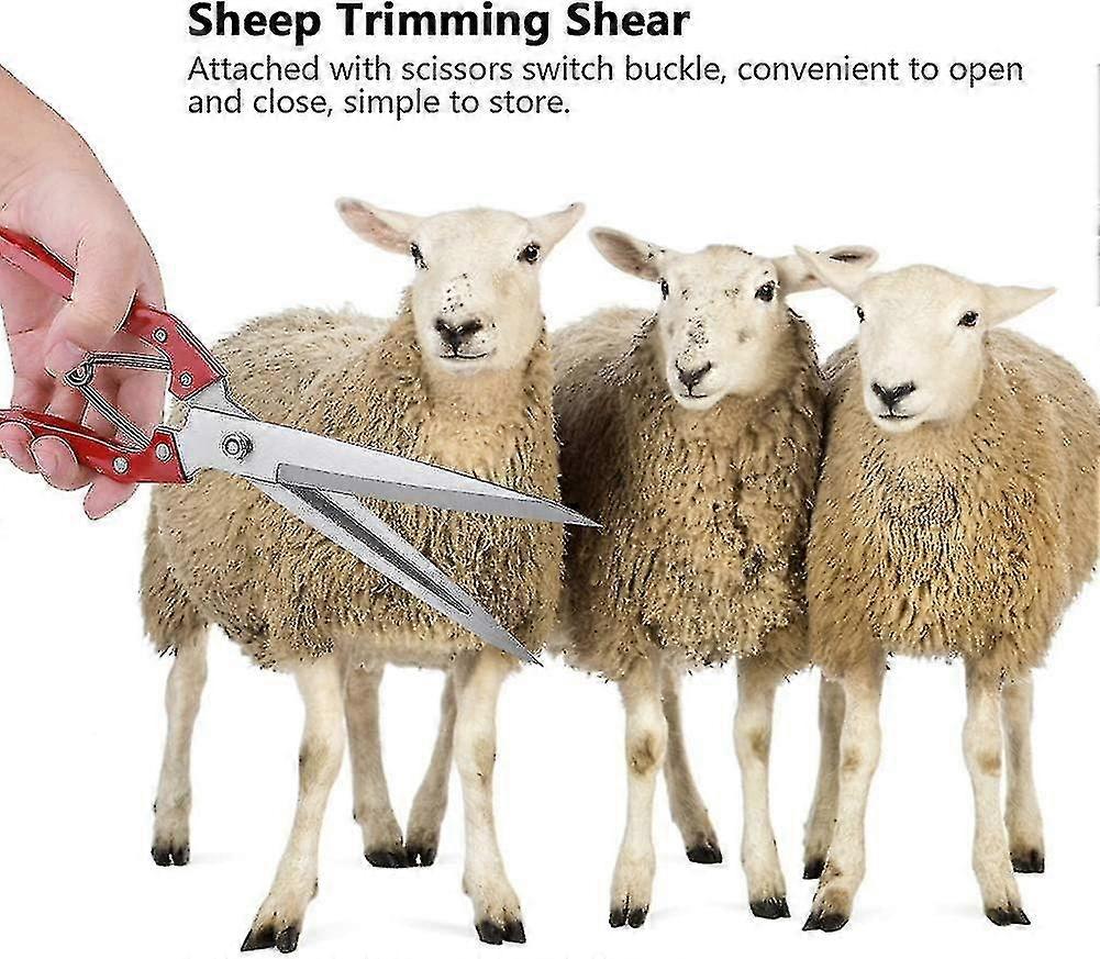 Manual Sheep Clipper, Goat And Sheep Wool Clippers, Stainless Steel ...