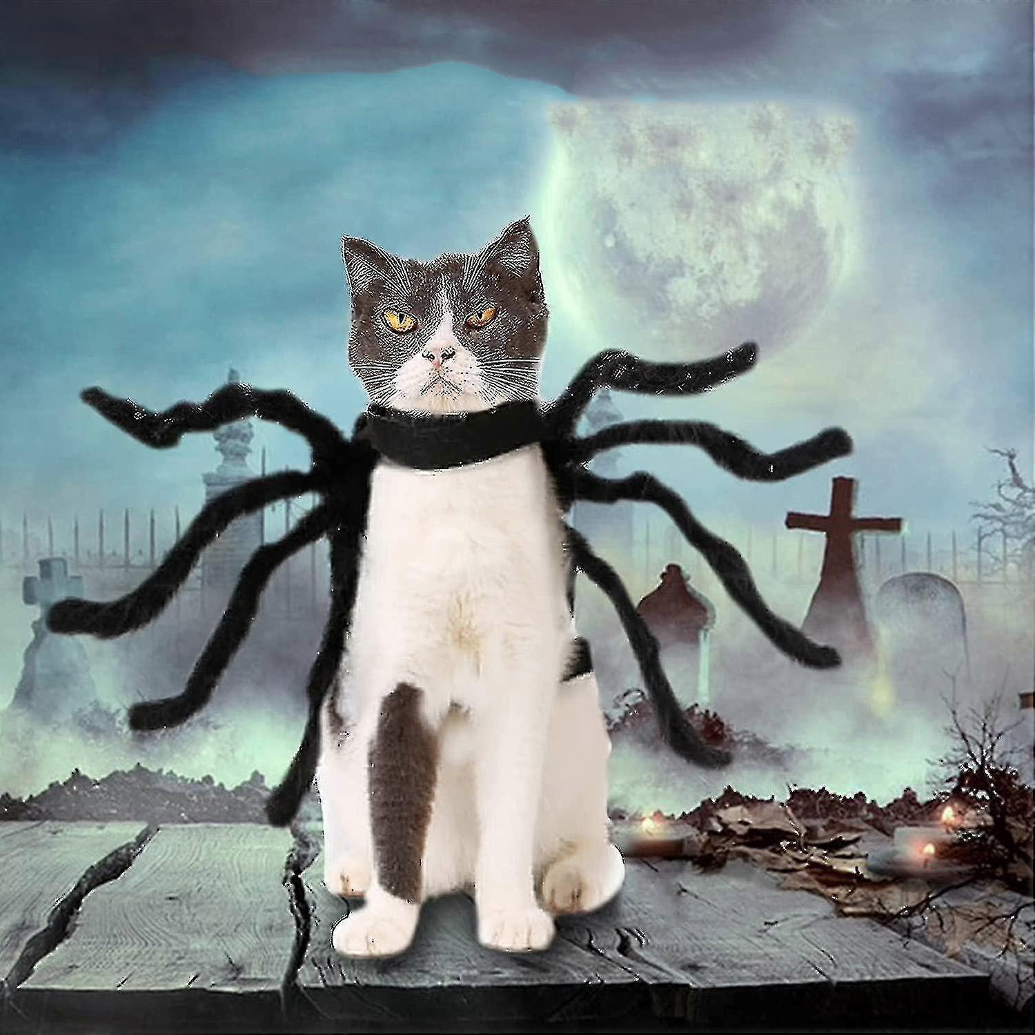Halloween Adjustable Dog Cat Spider Costume Realistic Plush Spider ...