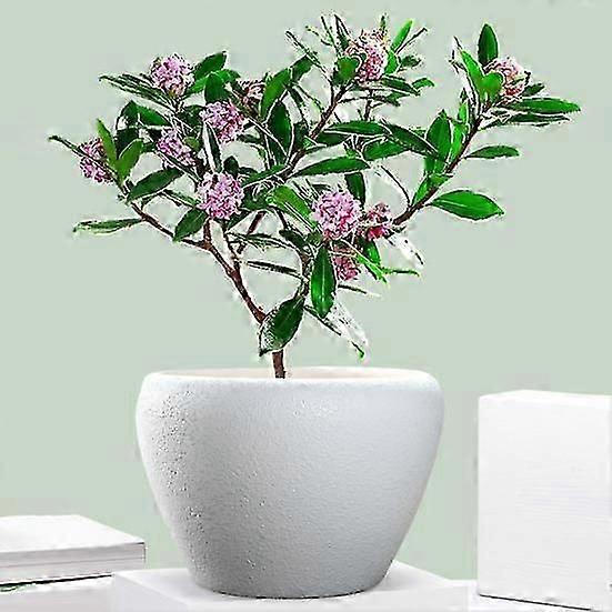 Ceramic Flowerpot Large Circular Opening Planter Pot Colored Glaze ...
