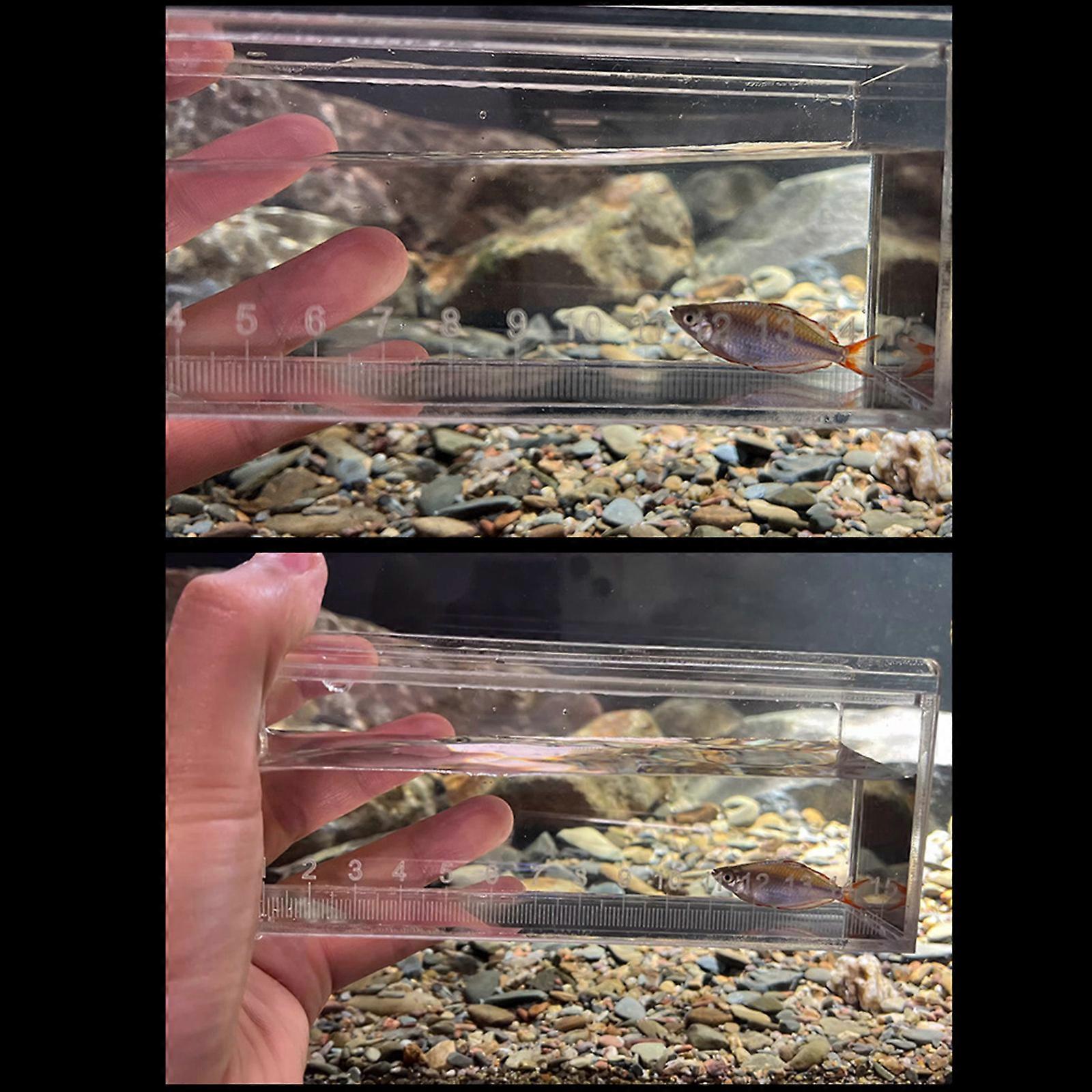 Acrylic Fish Viewing Box Multifunctional Fish Breeding Case for ...