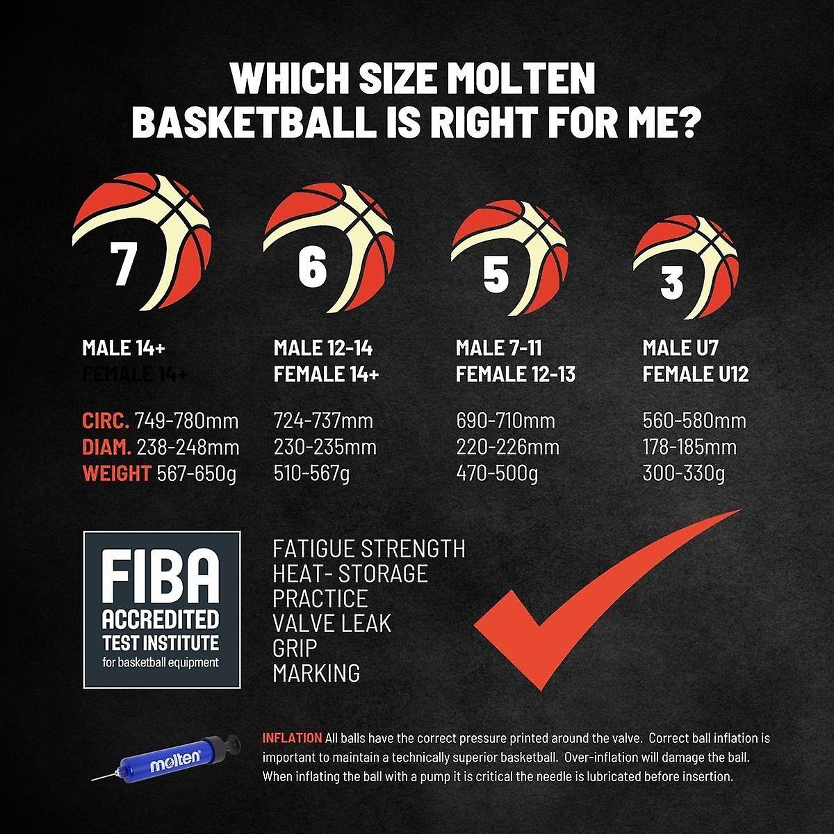 Molten BGR Basketball 12 Panel Giugiaro Indoor Outdoor Design Durable ...