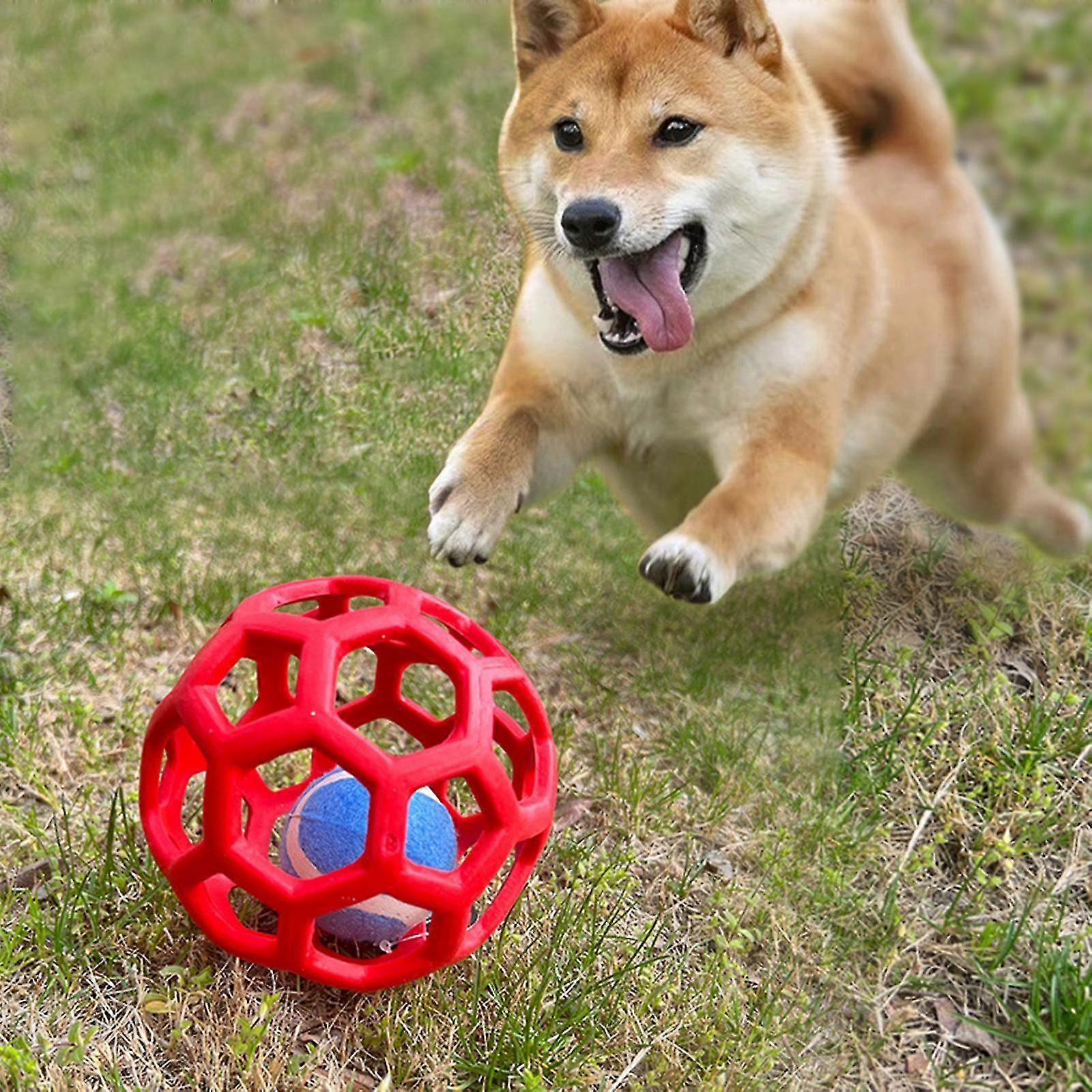 Interactive Dog Toys Ball Lawn Garden Throwing Playing Outdoor Dog Chew ...