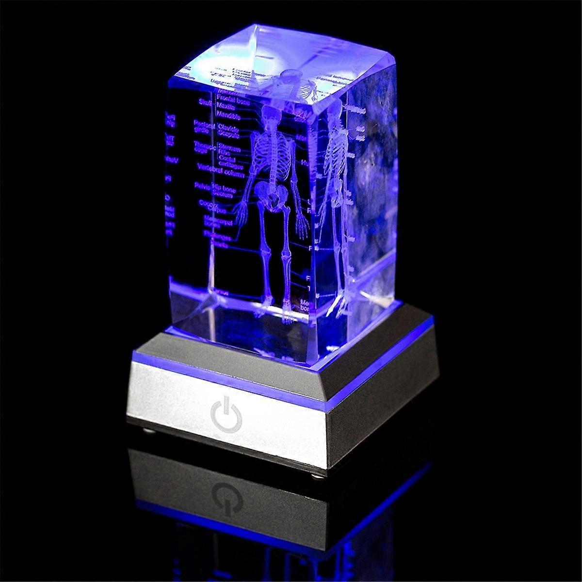 Human Skeleton Model Anatomy Gift Crystal Skeleton Model Medical-Statue ...