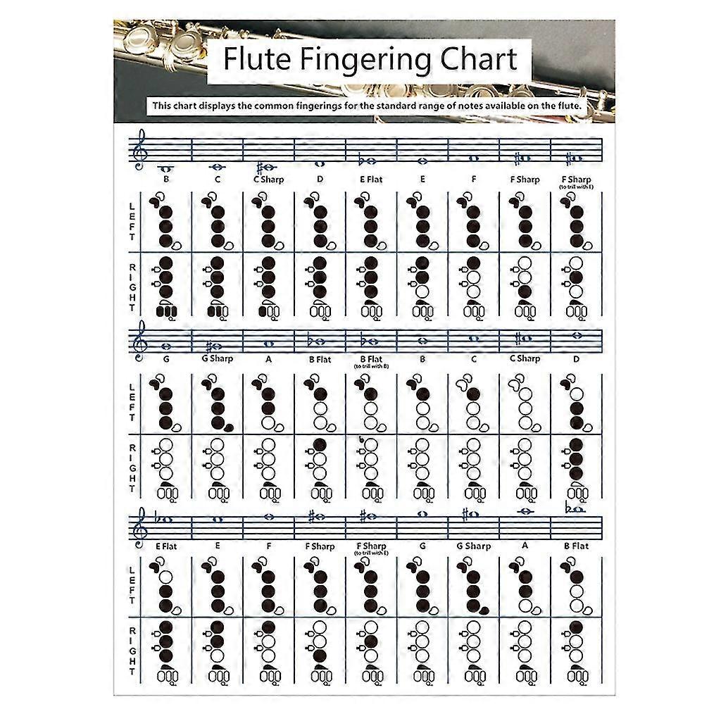 Large/small Durable Portable Fingering Practice Chord Chart For Group ...