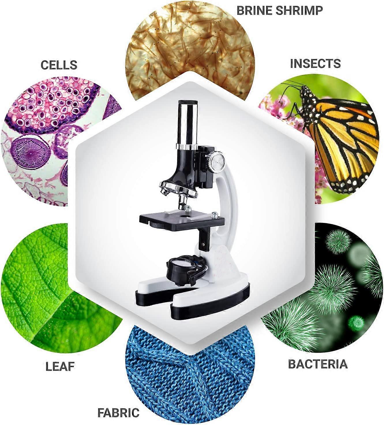 STEM Gift For kids,Kids Beginner Microscope, STEM Kit with Metal Body ...