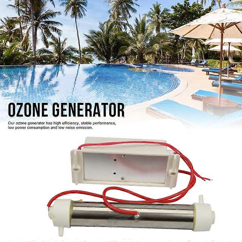 110V 3000Mg/H Ozone Generator Ozone Tube Diy for Water Plant Purifier ...