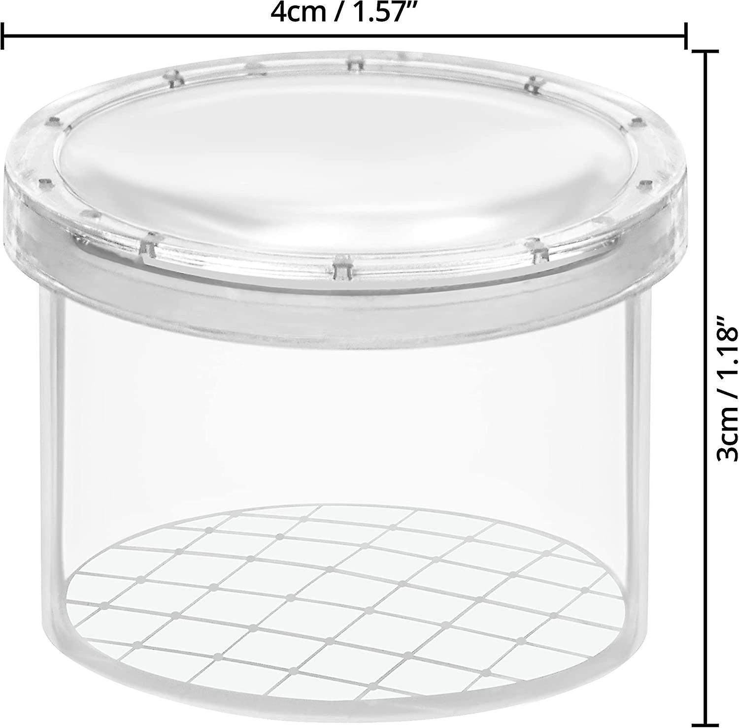 Magnifying Insect Container - Clear Observation Bug Box/viewer ...