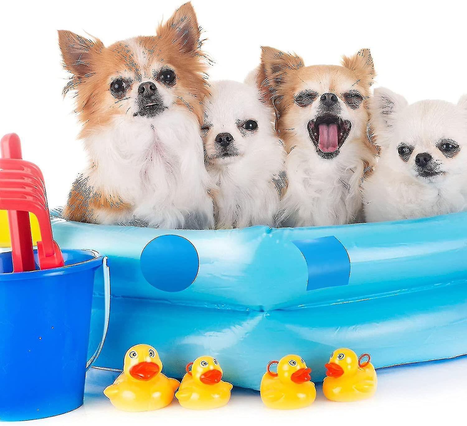 Pack Of 20 Self-adhesive Repair Patches For Swimming Pool, Pvc Pool ...