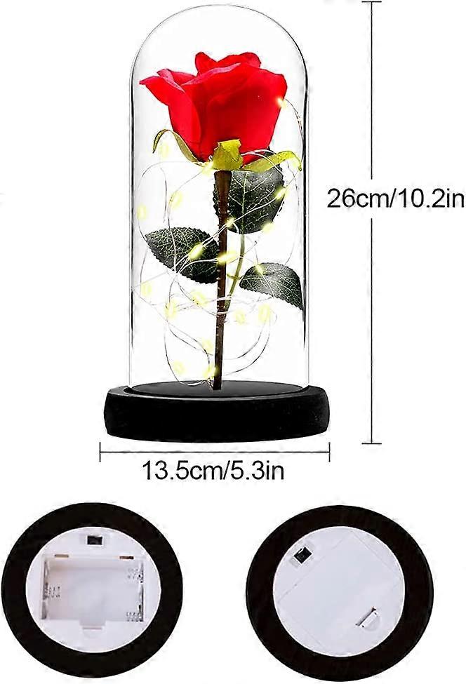 Eternal Roses, Eternal Rose in Cloche, Beauty and the Beast Rose, Fake ...